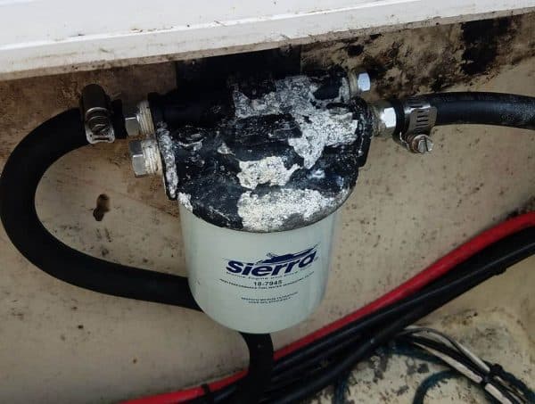 Why You Should Pre Fill A Fuel Filter or Water Separator! - Born Again ...